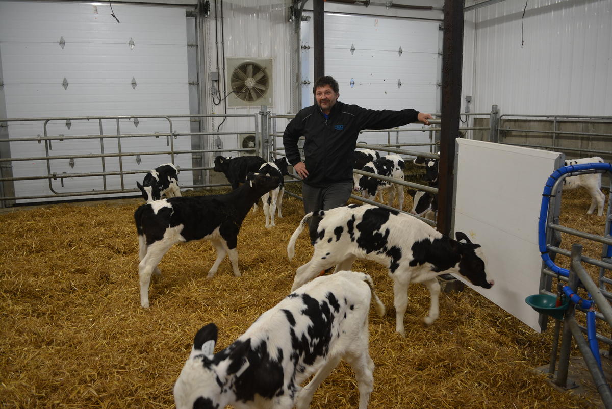 La Ferme Baril et frères aux prises avec la «Salmonella Dublin» - La ...