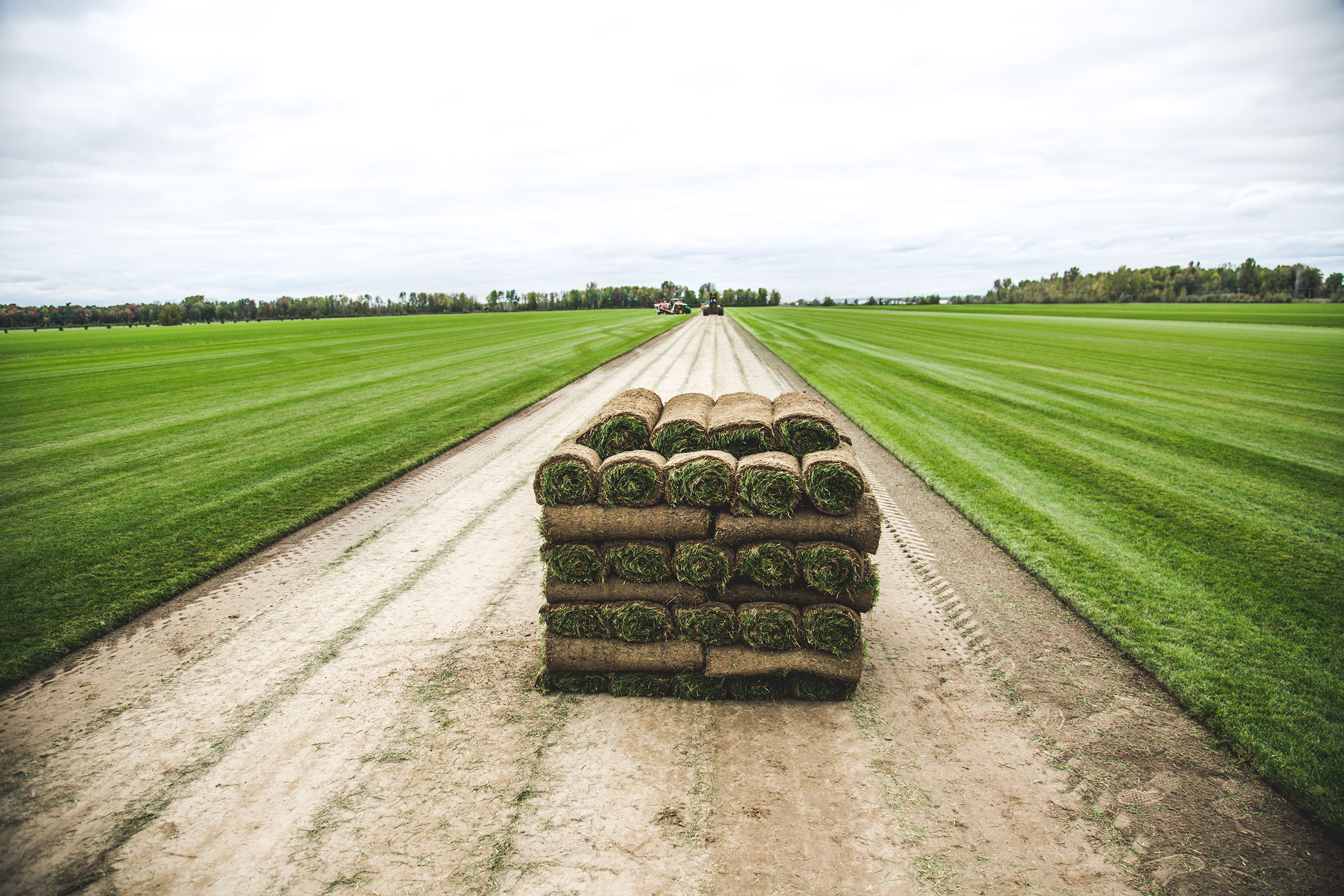 La Gazonnière Victo passe aux mains du Groupe Richer - La Nouvelle ...