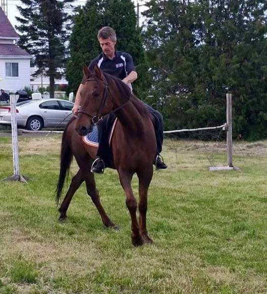 La page se tourne pour Jonathan Langlois-Quirion - La Nouvelle Union et L’Avenir de l’Érable