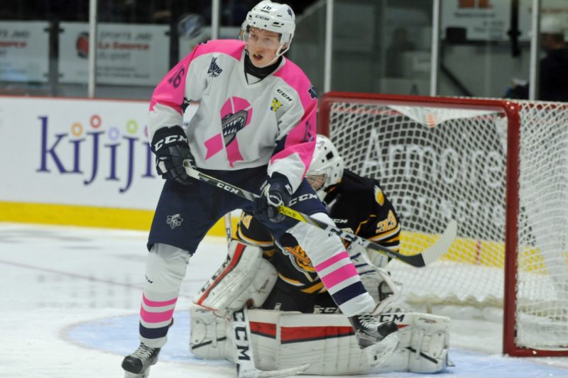 Justin Paré terminera la saison avec les Félins - La Nouvelle Union et ...