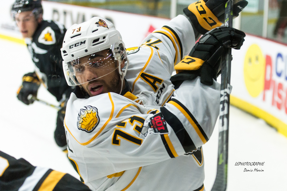 Chase Harwell signe officiellement avec les Stingers - La Nouvelle ...