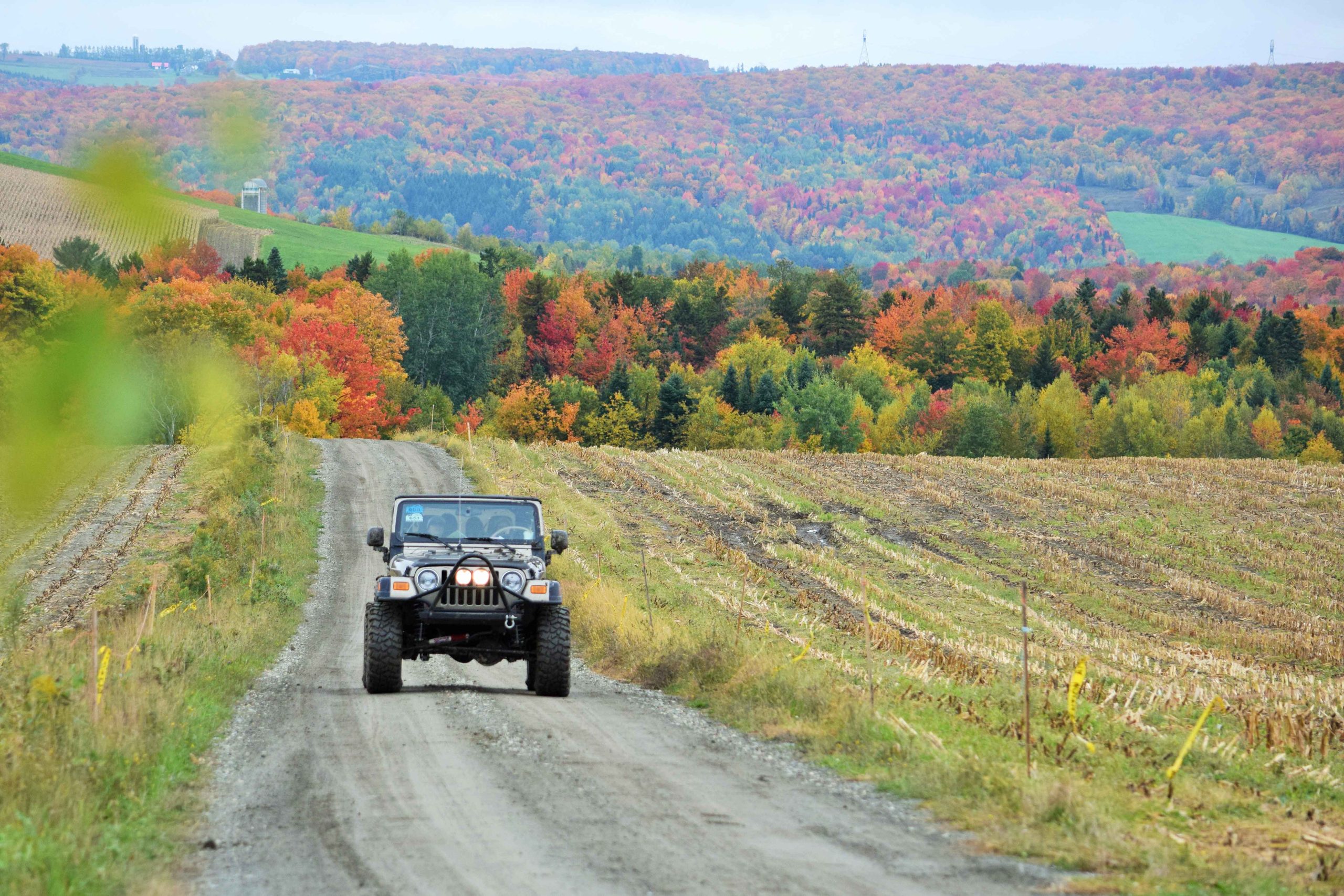 Rallye Jeeppy : 850 véhicules défient le parcours - La Nouvelle Union ...