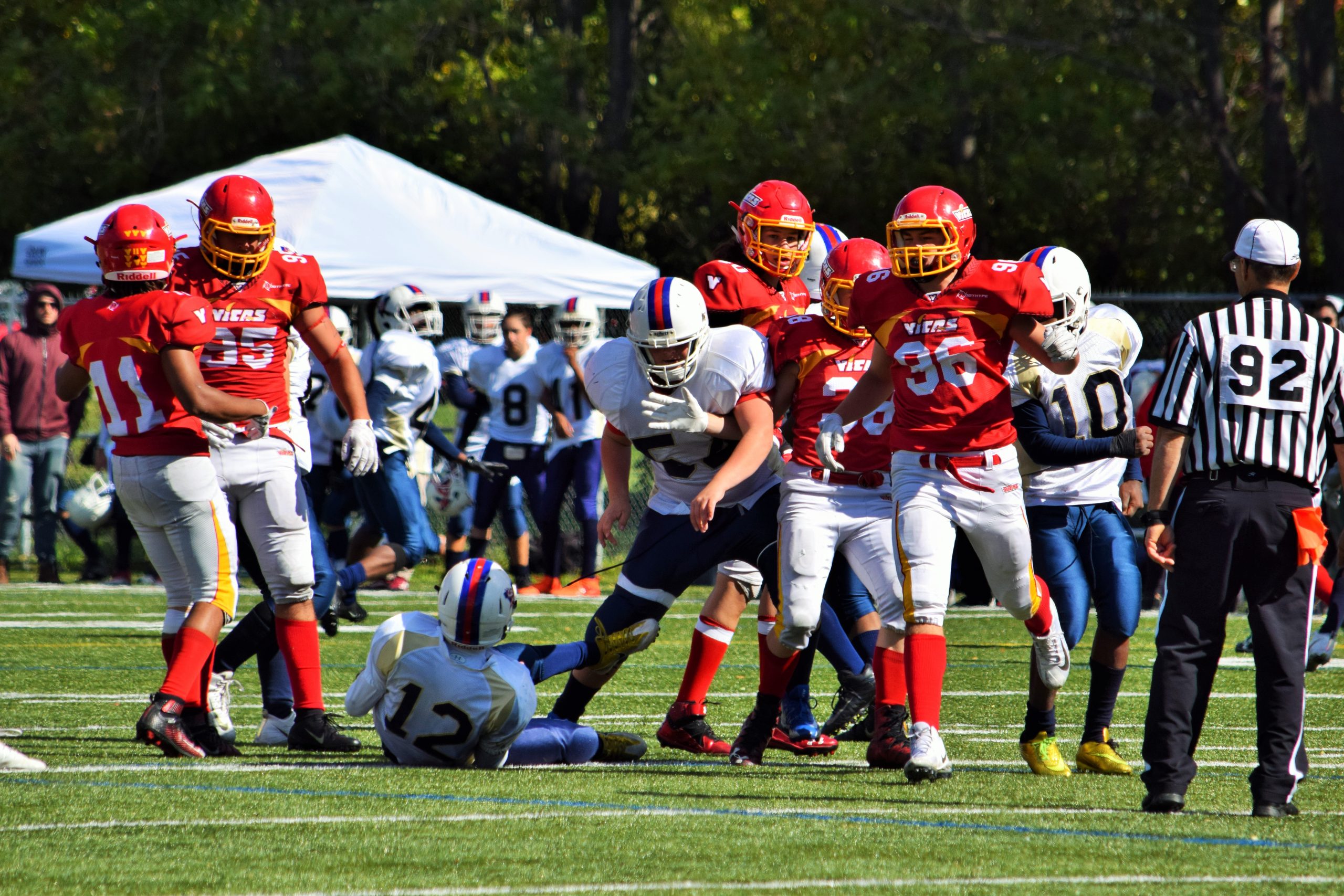 Les Vicas récompensent leurs plus méritants - La Nouvelle Union et L ...