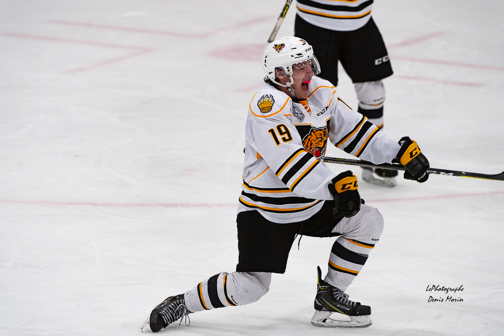 Anthony Poulin retrouve sa touche chez les Tigres - La Nouvelle Union ...