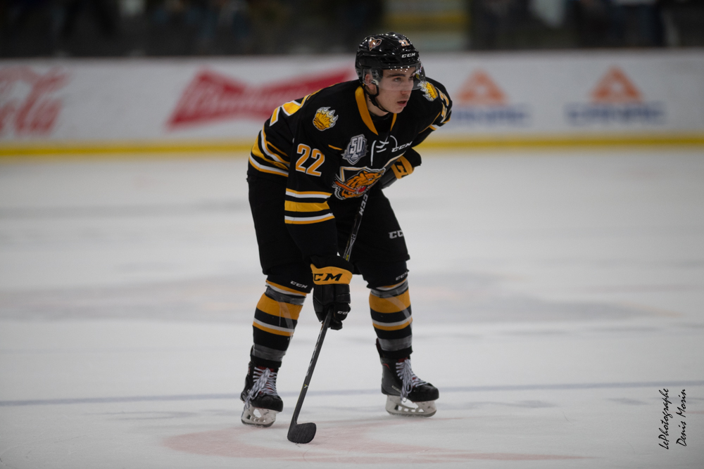 Nicolas St-Pierre quitte les Tigres - La Nouvelle Union et L’Avenir de ...