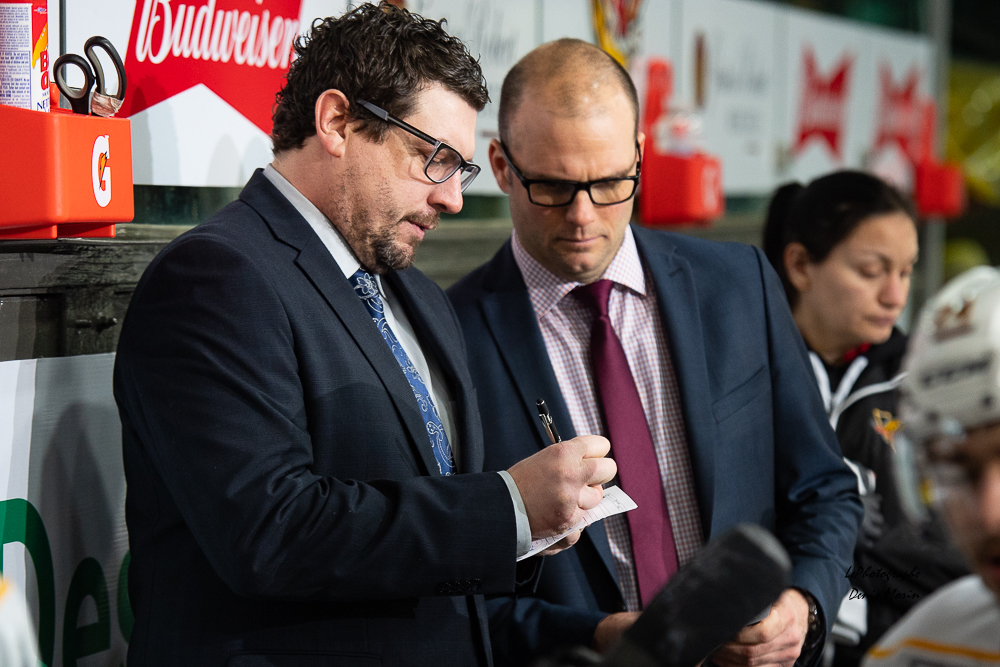 Carl Mallette nommé entraîneur-chef des Tigres - La Nouvelle Union et L ...