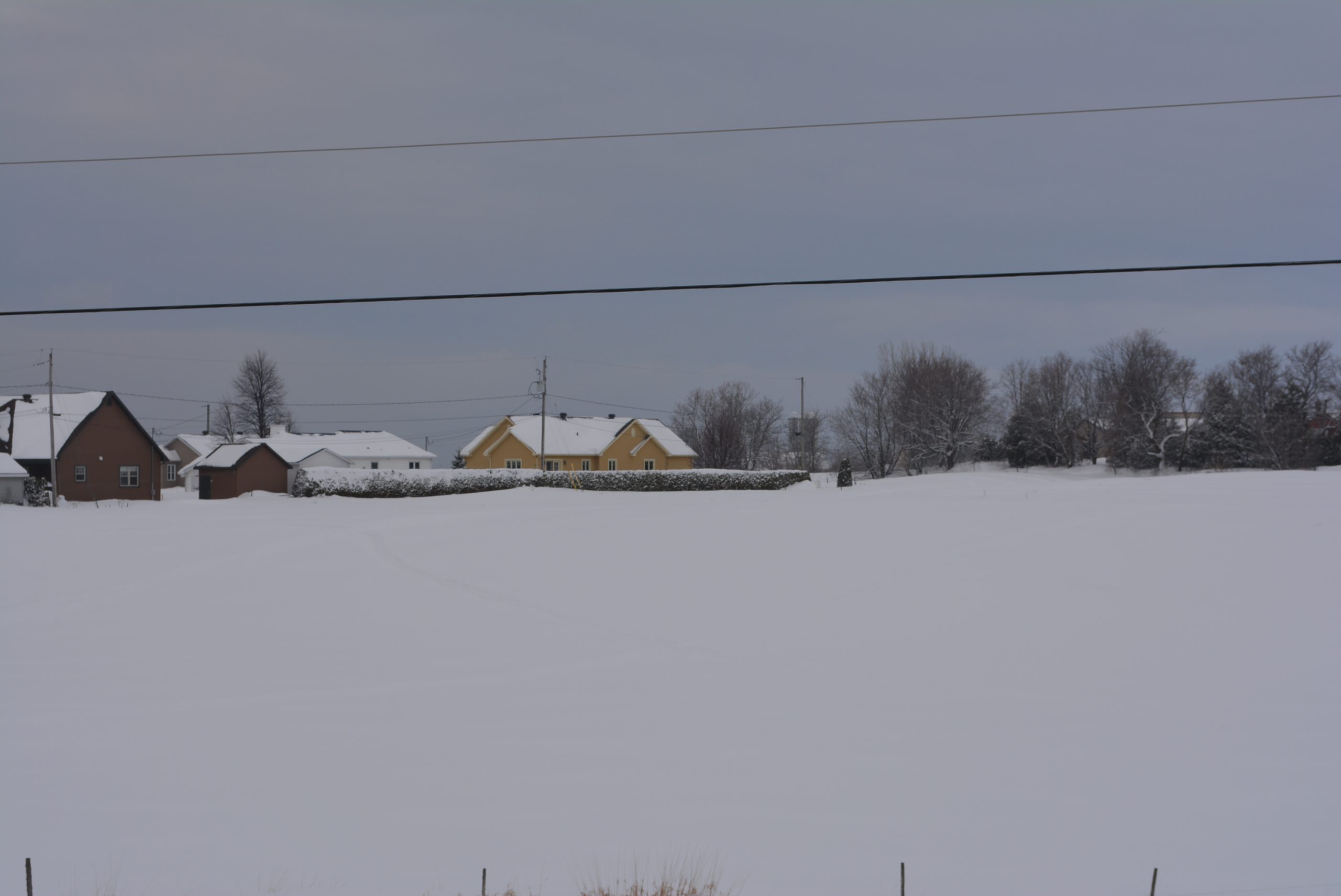 Développement résidentiel : Princeville va en expropriation - La ...