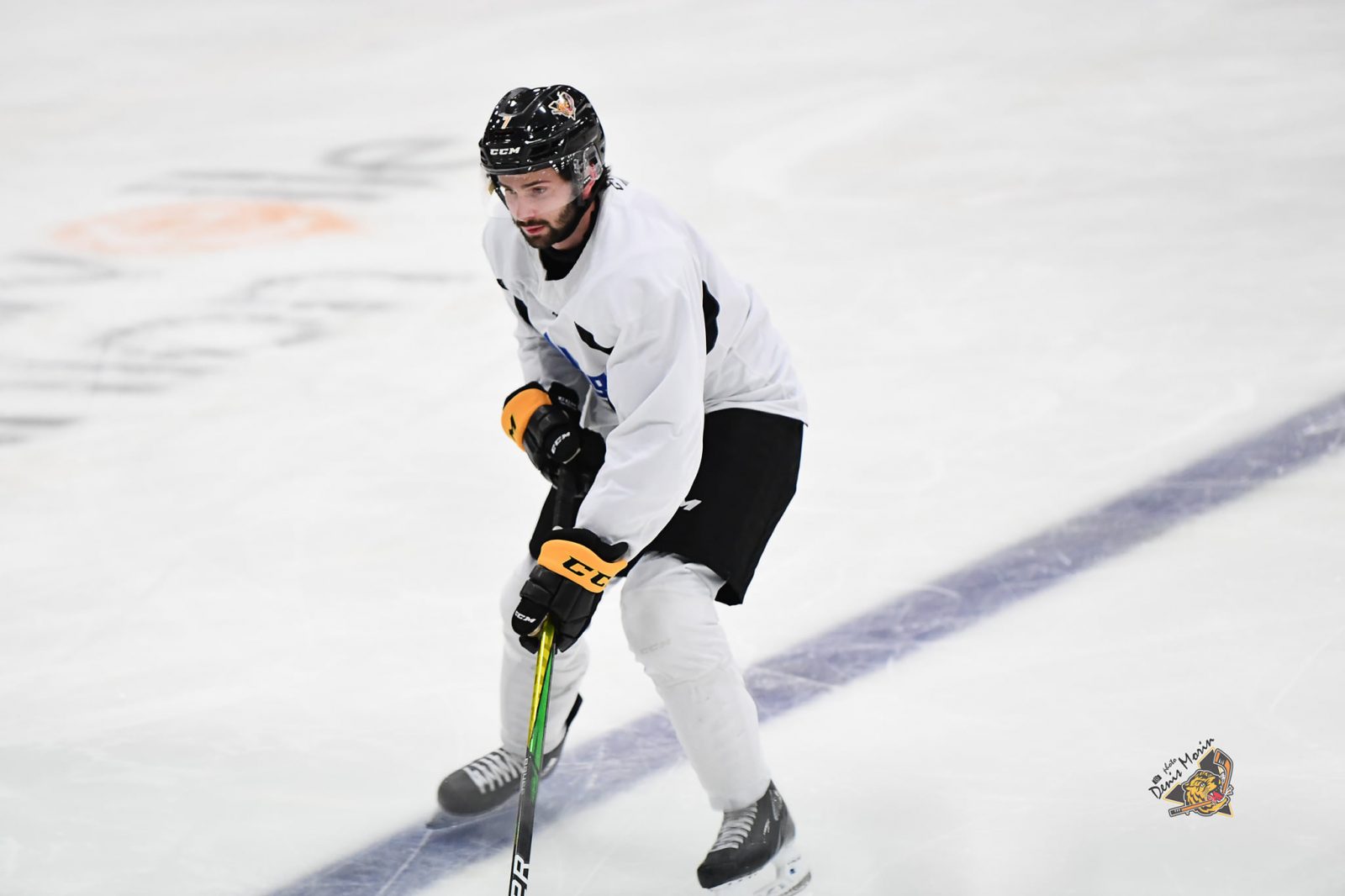 Une série «spéciale» pour le vétéran Arsenault - La Nouvelle Union et L ...