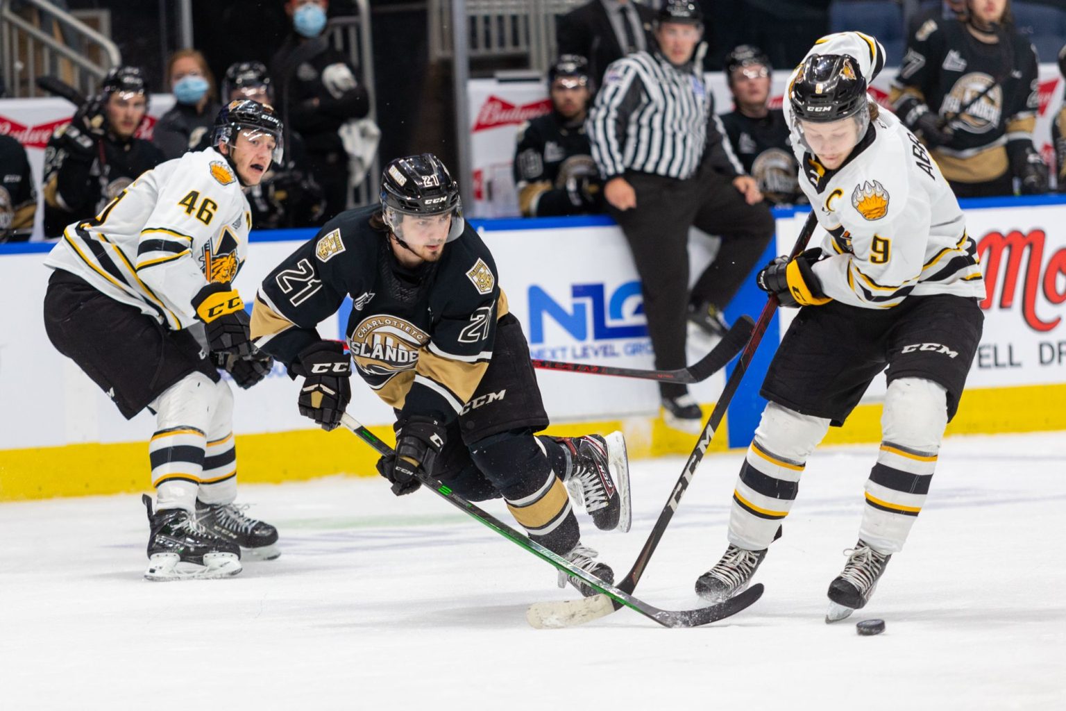 Carl Mallette s’attend à une «grosse performance» de son équipe - La ...