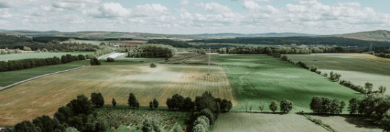 Caractériser les terres en friche : un projet pour dynamiser l ...
