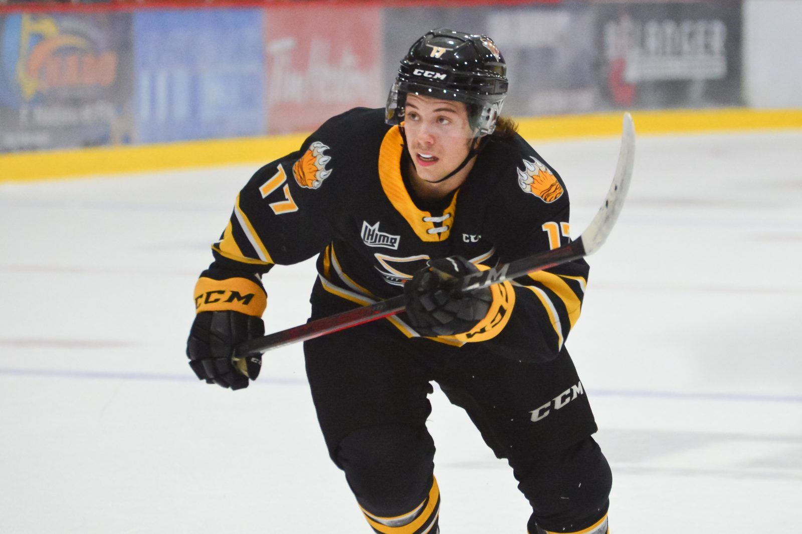 Nicolas Daigle en Ukraine : le DG des Tigres dément - La Nouvelle Union ...