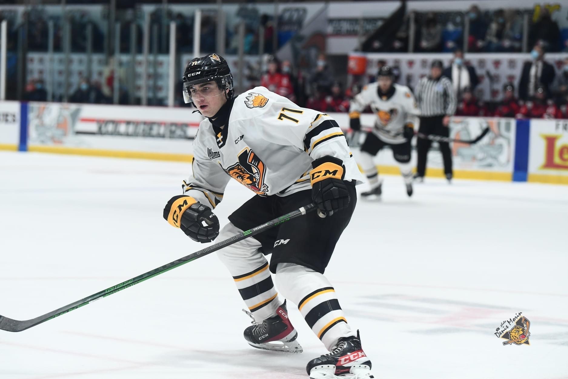 Tigres : Justin Gendron sur la touche - La Nouvelle Union et L’Avenir ...