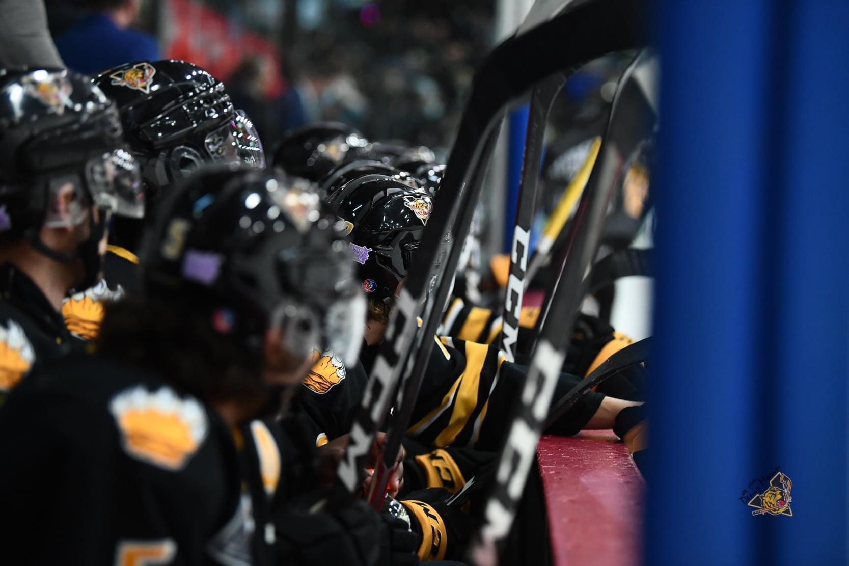 Thomas Belzile et Thomas Belgarde s'amèneraient chez les Tigres - La ...