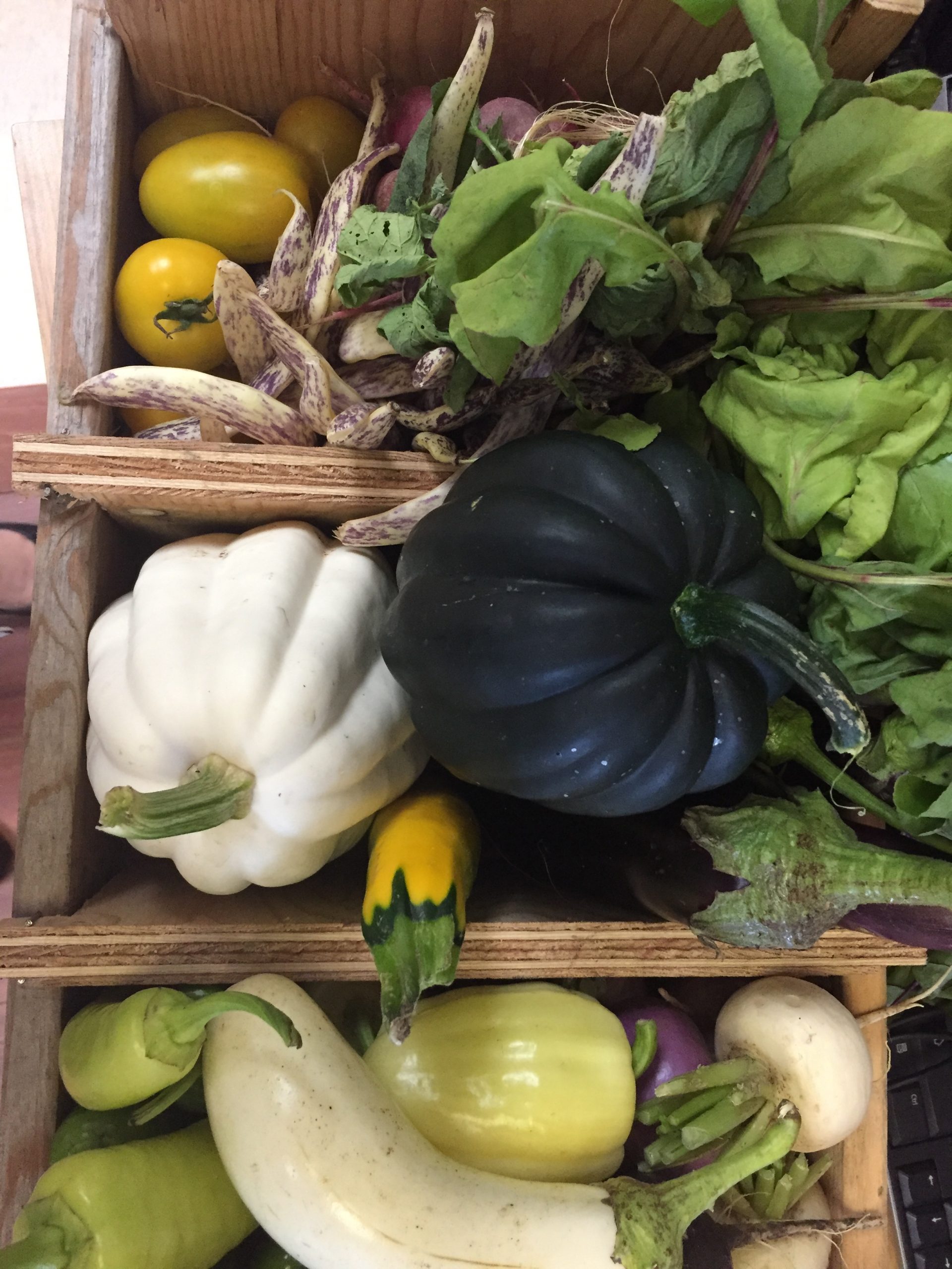 Le Marché Nomade s'arrête à Sainte-Hélène-de-Chester - La Nouvelle ...