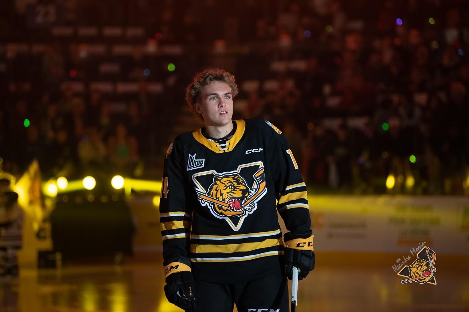 Justin Sullivan nommé joueur-étudiant du mois - La Nouvelle Union et L ...