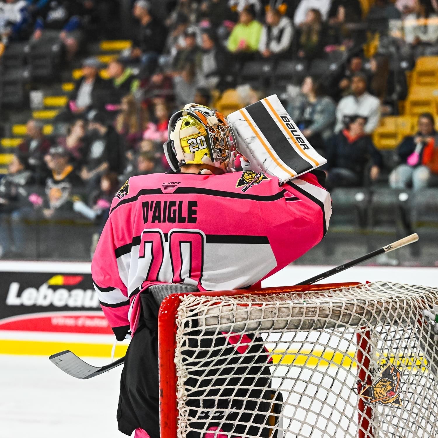 Carl Mallette et Gabriel D'Aigle au Défi mondial des moins de 17 ans ...