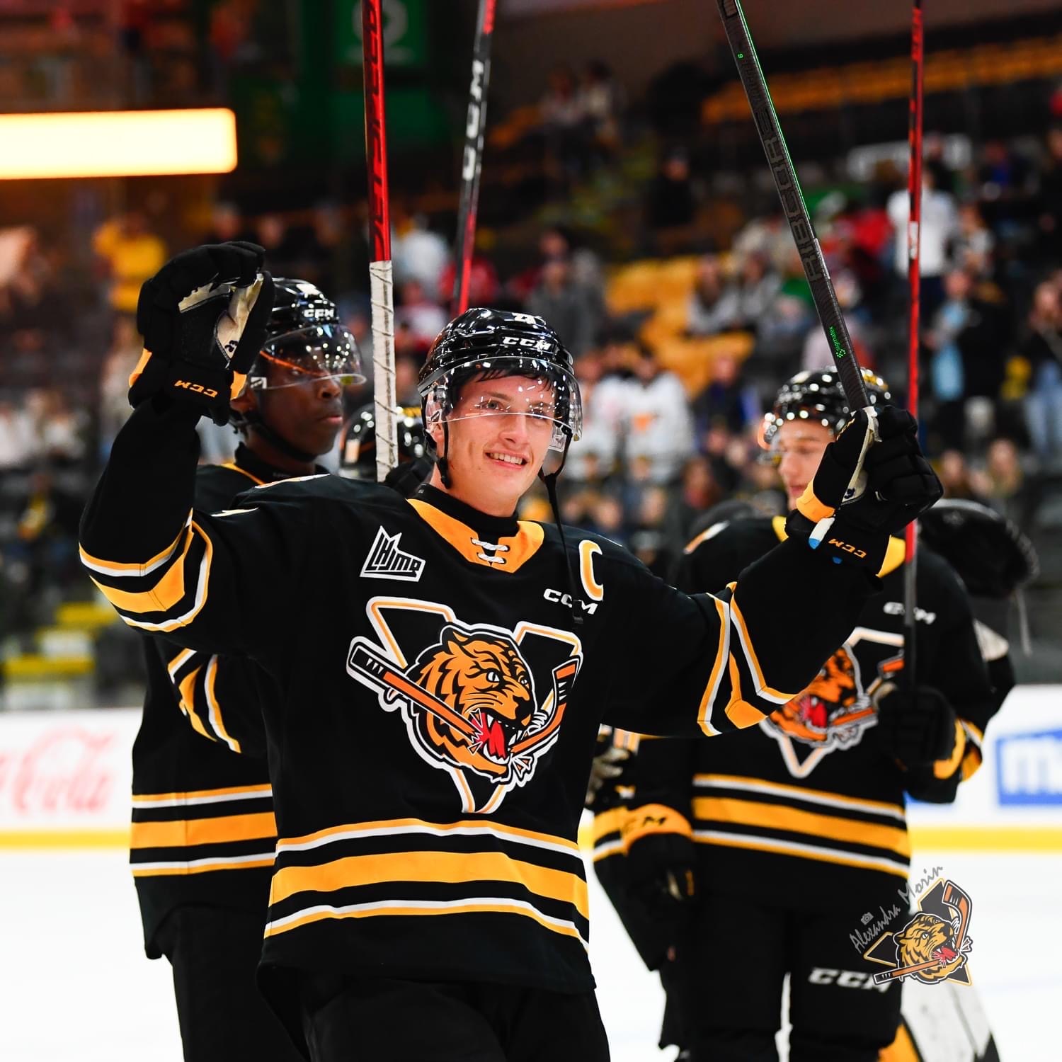 Les Tigres infligent un premier revers aux Mooseheads - La Nouvelle ...