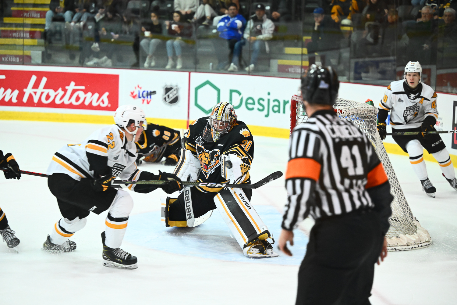 Les Tigres retrouvent le chemin de la victoire face aux Eagles - La ...