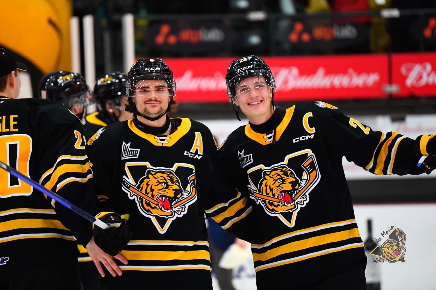 LHJMQ : Pier-Olivier Roy et Maxime Pellerin élus sur l'Équipe de la ...