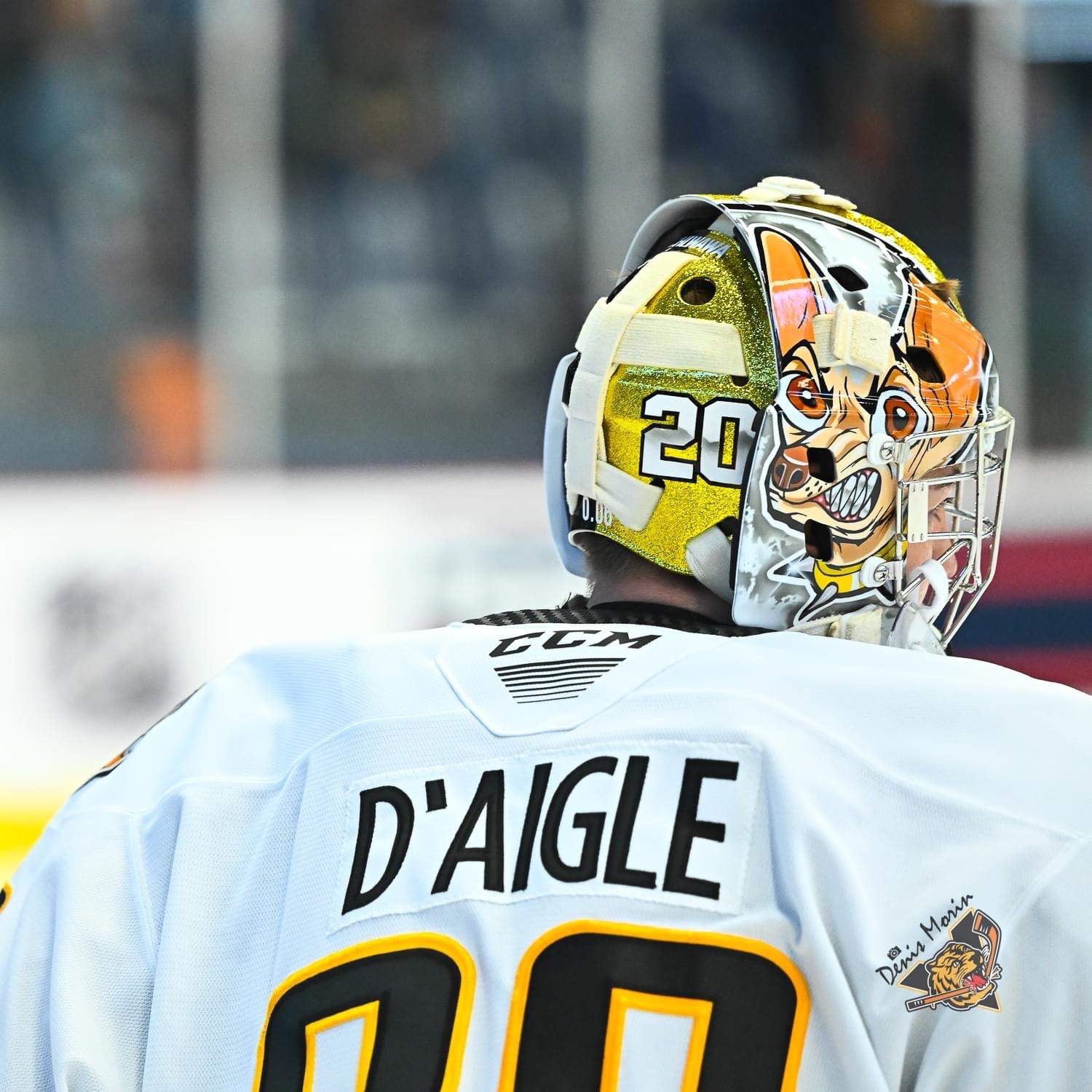 Défi mondial de hockey des moins de 17 ans : Mallette et D'Aigle à un gain d'une médaille - La ...