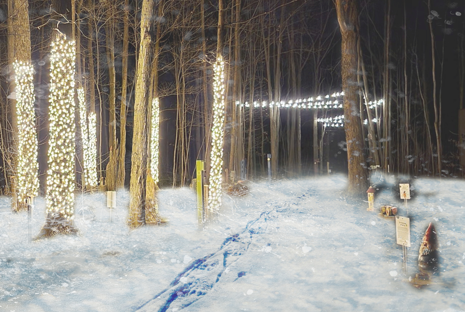 Un parcours illuminé proposé au Parc écologique Godefroy - La Nouvelle ...