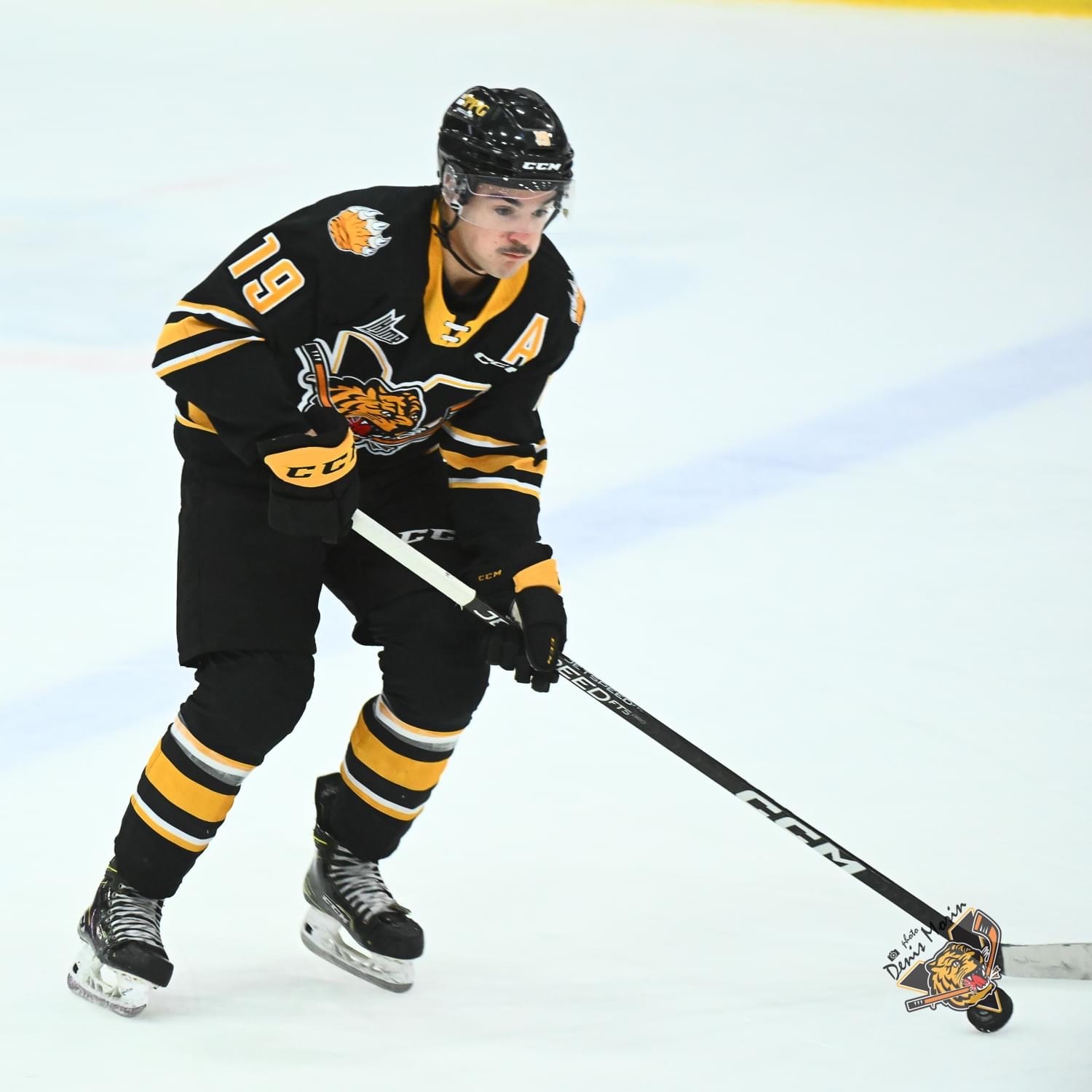 Thomas Belgarde est impatient de contribuer aux succès des Tigres - La ...