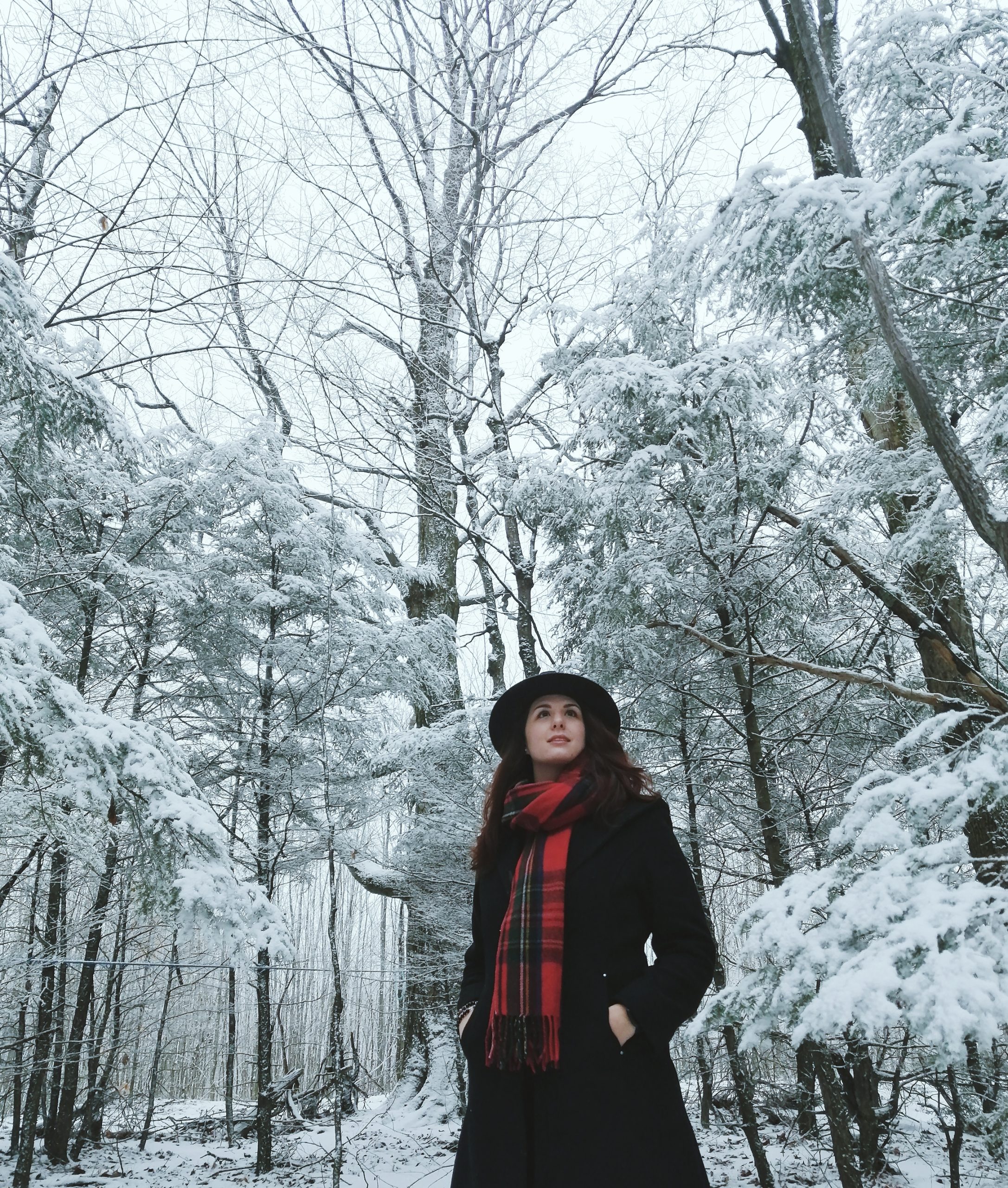 Un nouveau chapitre en 2023 - La Nouvelle Union et L’Avenir de l’Érable