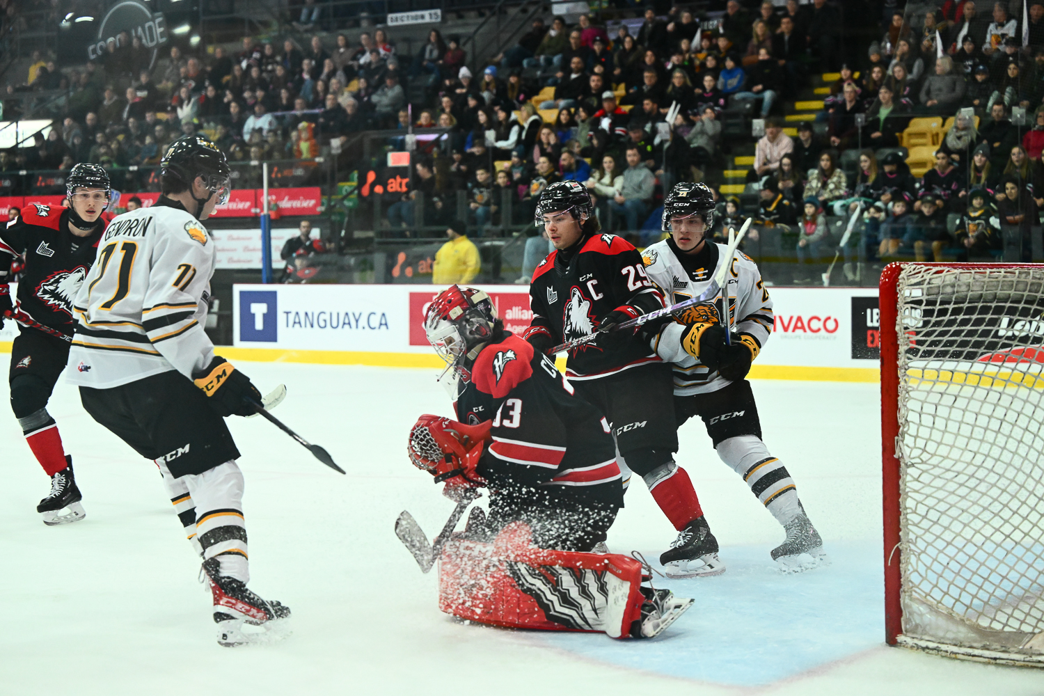 "Nous avions quelques passagers" - Carl Mallette - La Nouvelle Union et ...