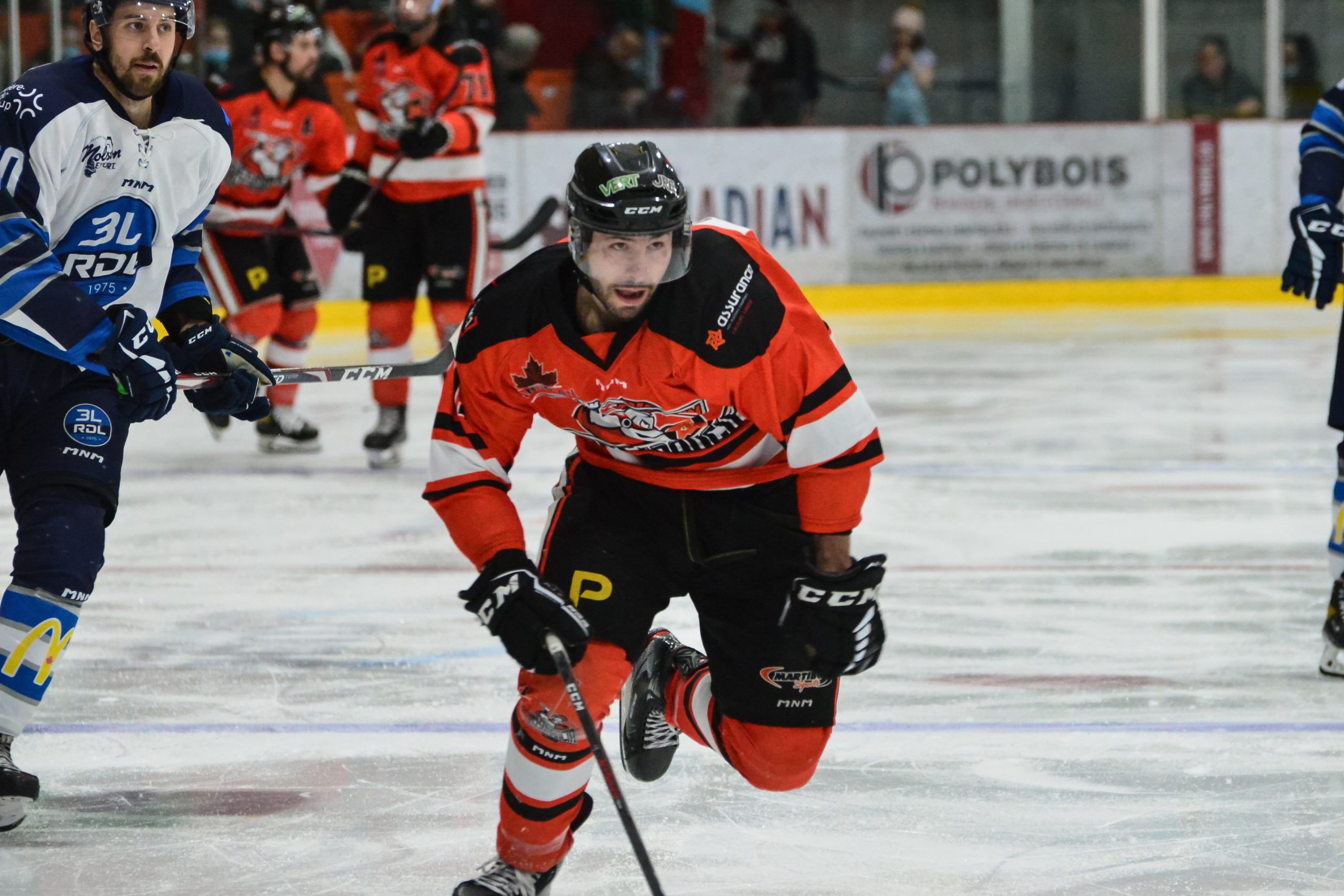 Alexandre Goulet de retour au jeu vendredi - La Nouvelle Union et L ...