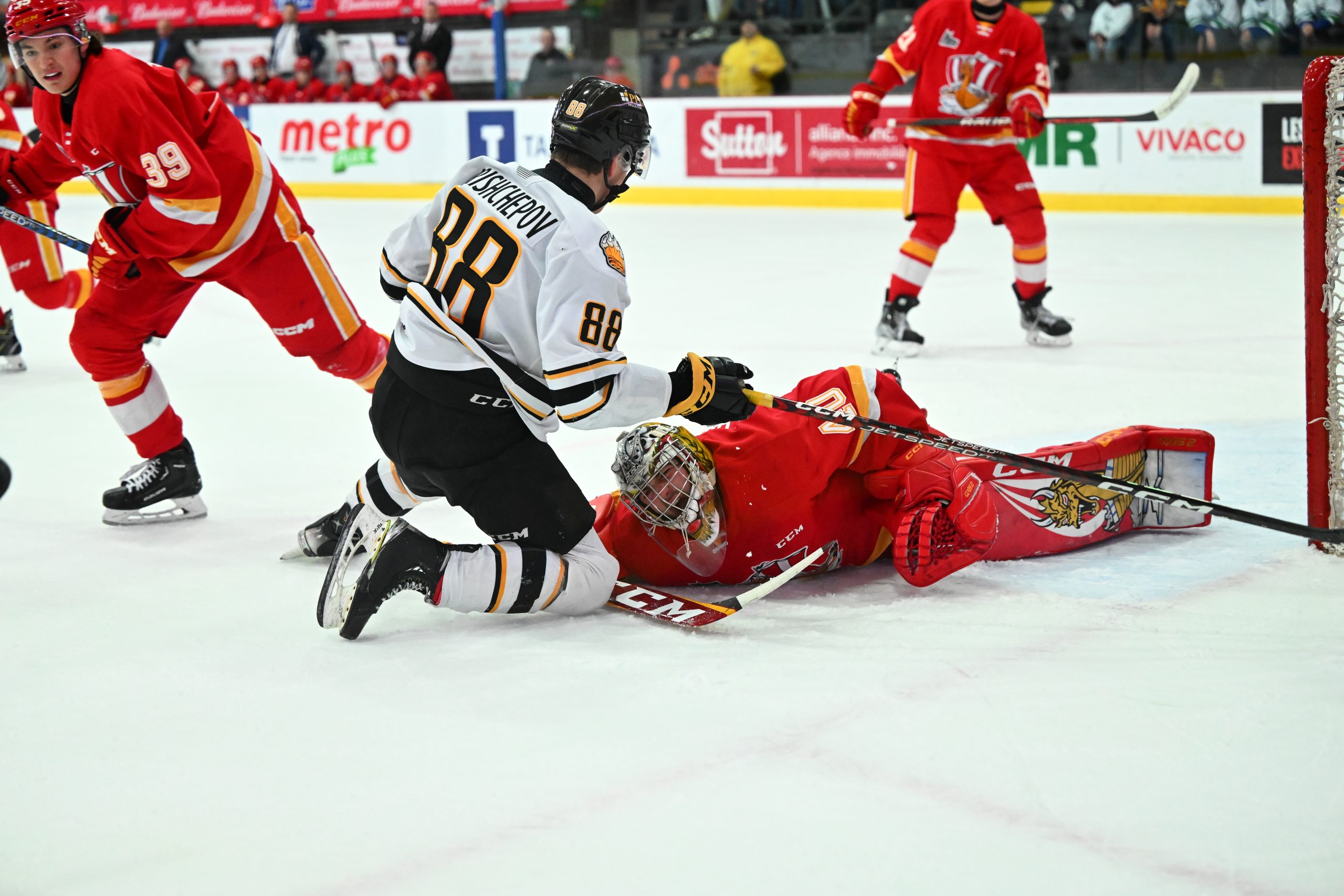 L'indiscipline a coûté le match aux Tigres, selon Carl Mallette - La ...