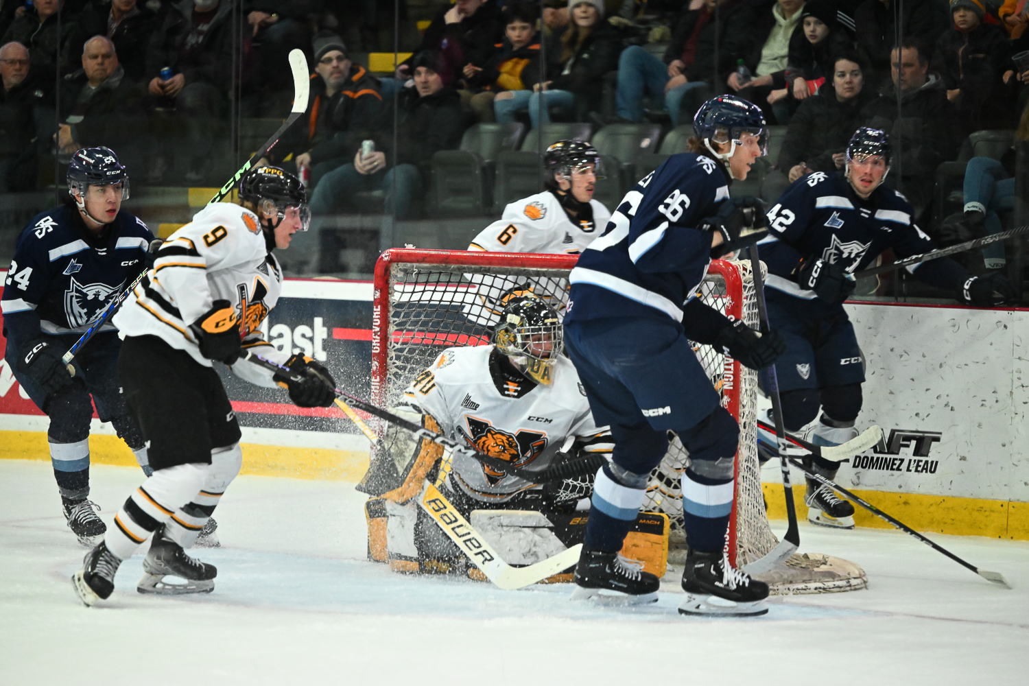 Une pause qui tombe à point pour les Tigres - La Nouvelle Union et L ...