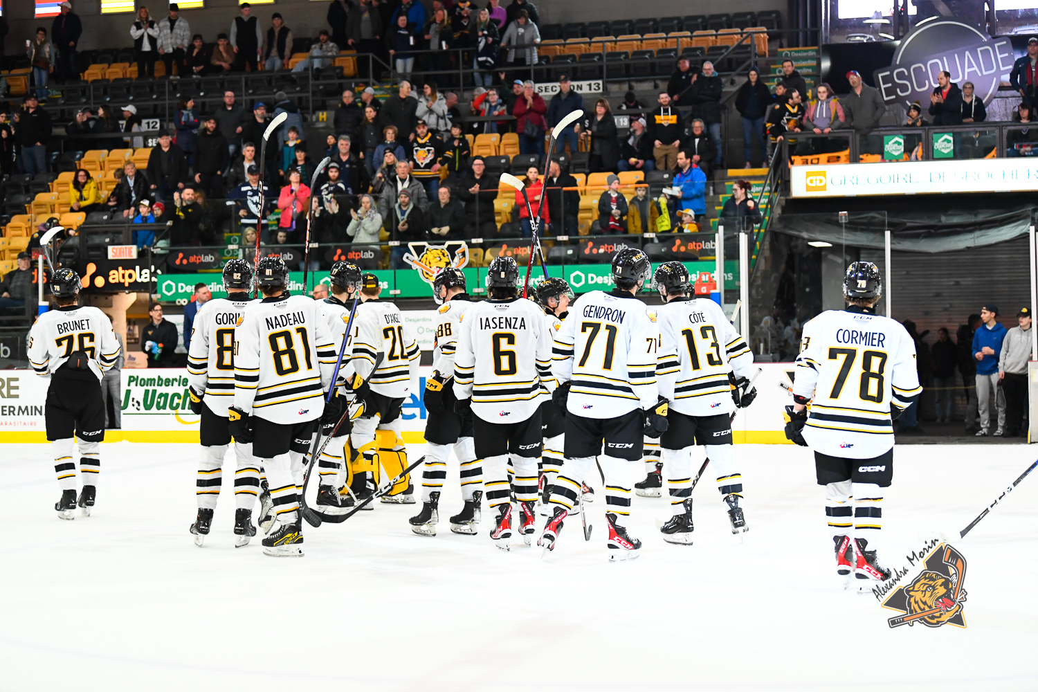 Une saison au-dessus des attentes pour Carl Mallette - La Nouvelle ...