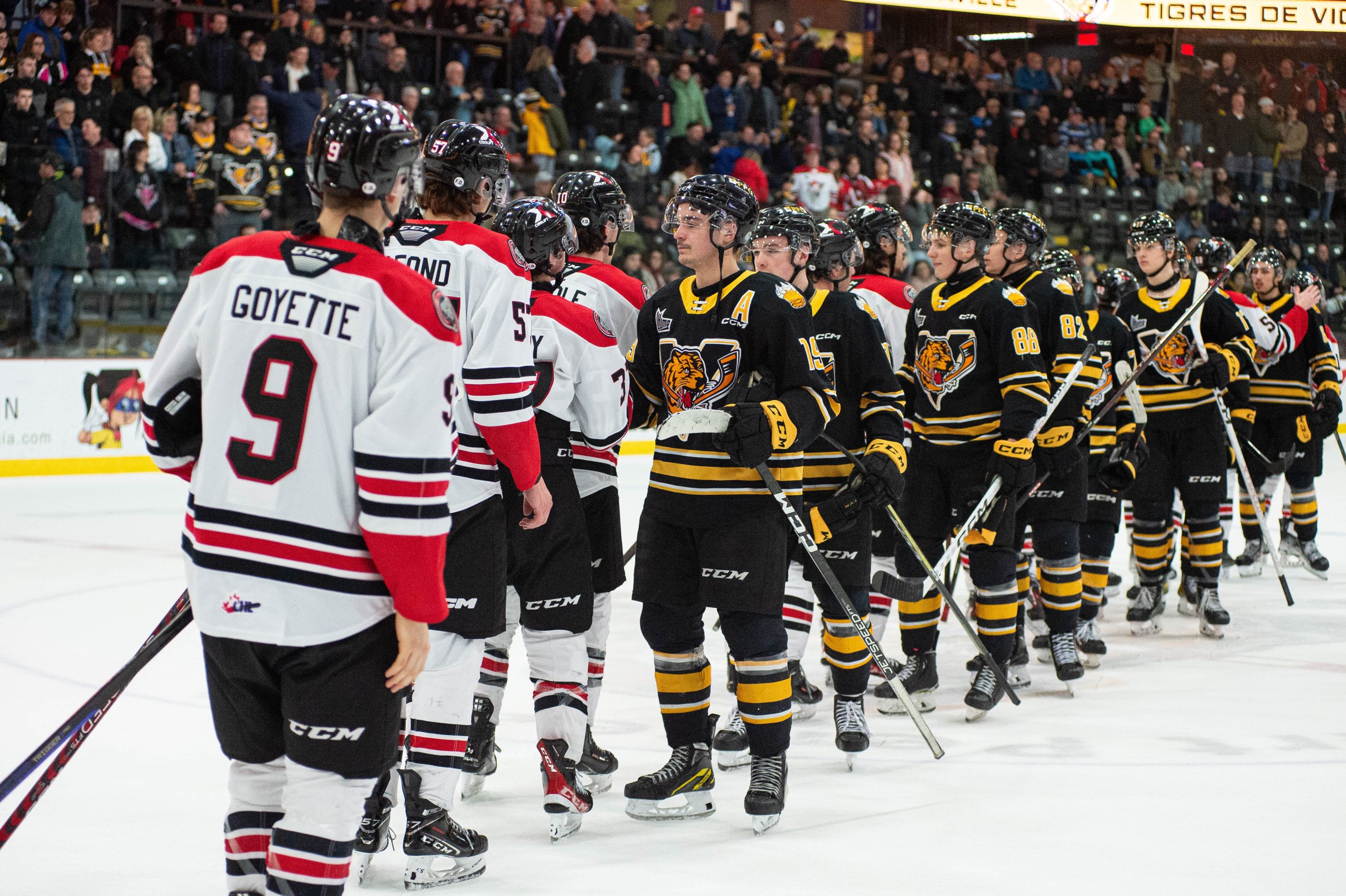 Jouer son meilleur hockey au bon moment - La Nouvelle Union et L’Avenir ...