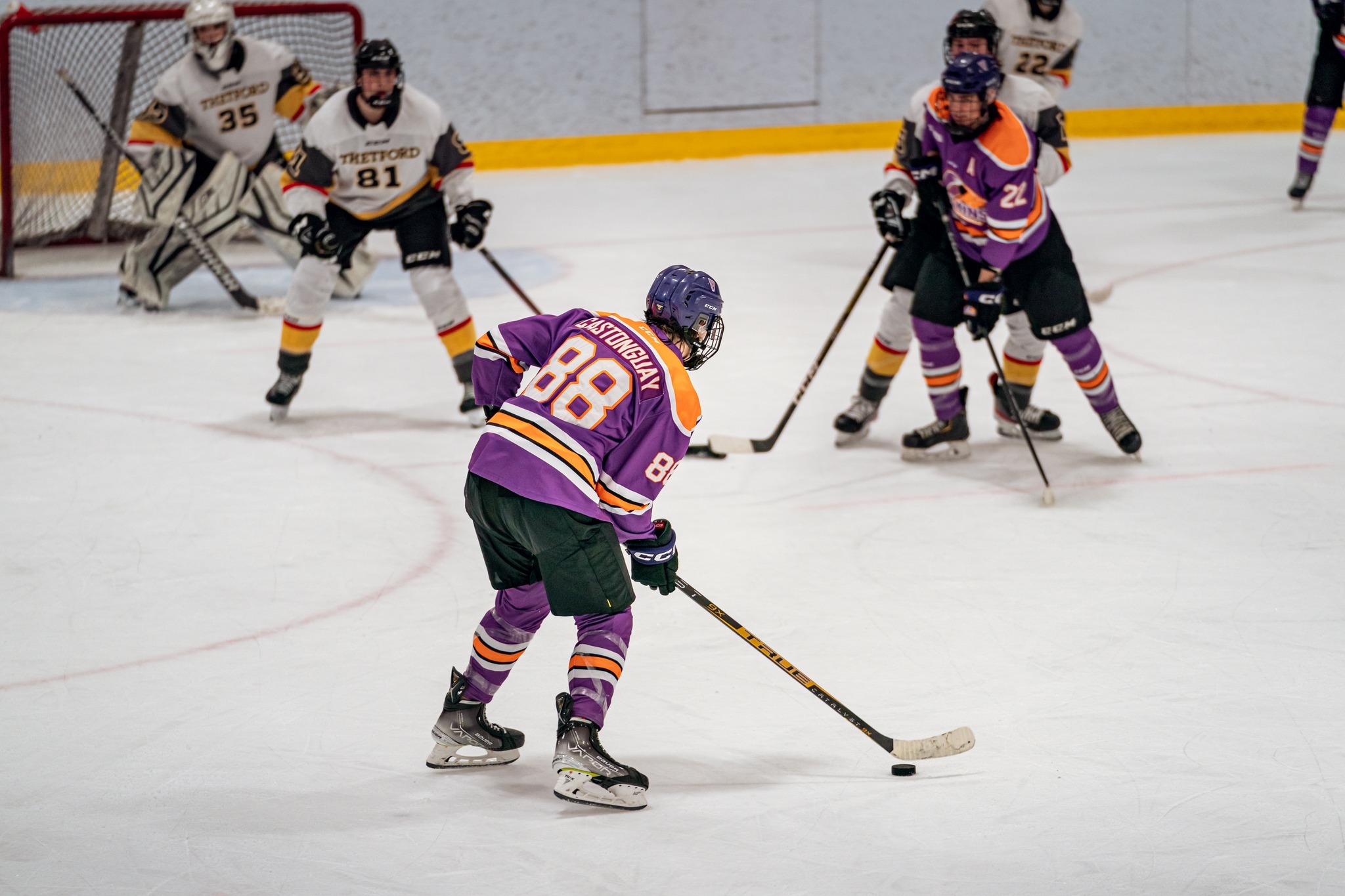 Hockey collégial : les Vulkins éliminent les Filons - La Nouvelle Union ...