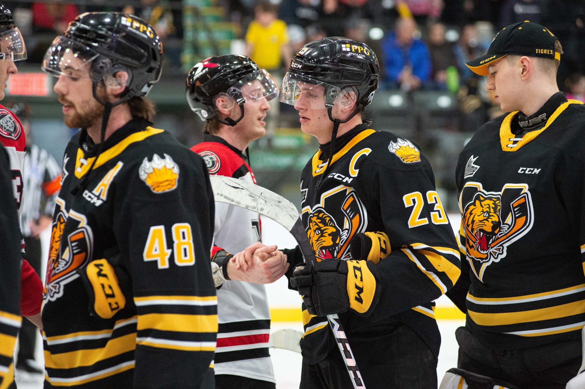 "Les dieux du hockey n'étaient pas avec nous" - Carl Mallette - La ...