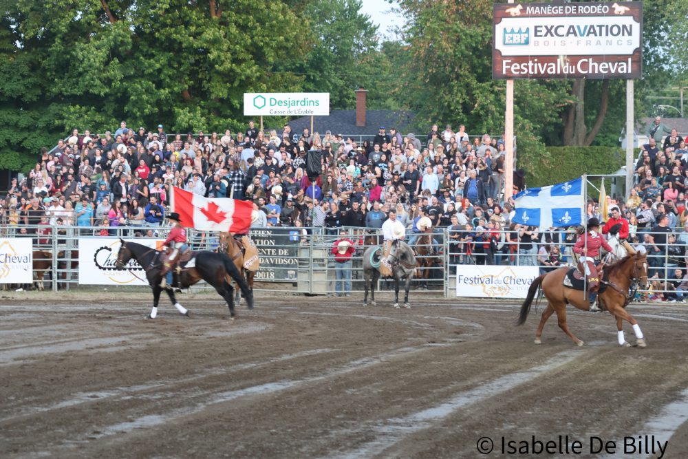 32 000 visiteurs pour le 21e Festival du Cheval - La Nouvelle Union et ...