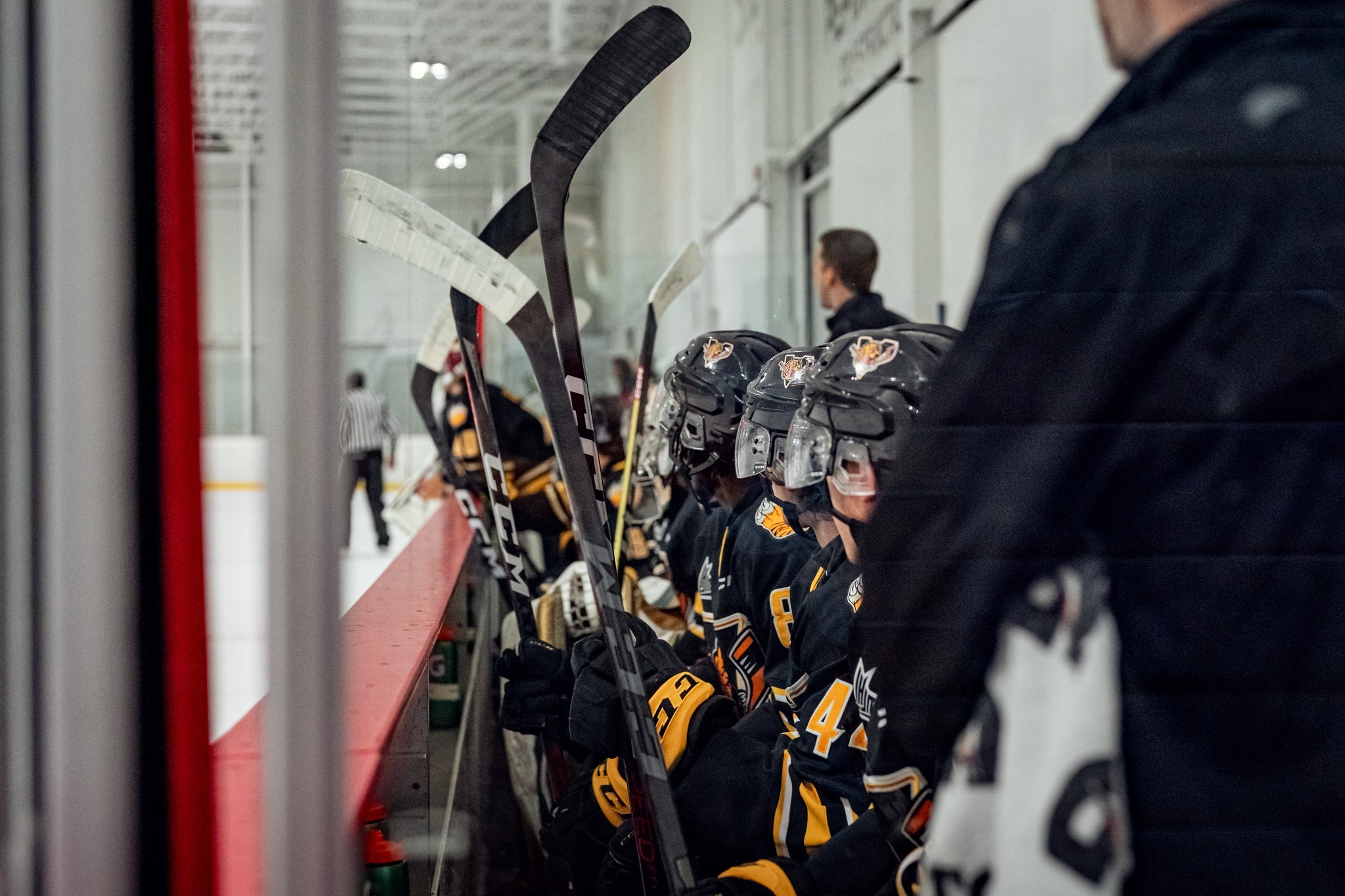 Tigres : trois attaquants retranchés - La Nouvelle Union et L’Avenir de ...
