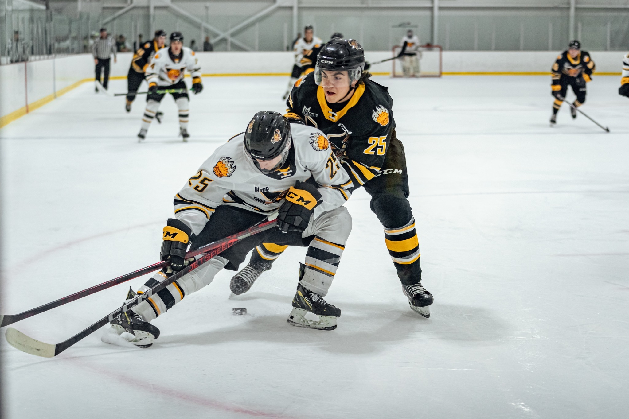 Partie remise pour William Faucher - La Nouvelle Union et L’Avenir de l ...
