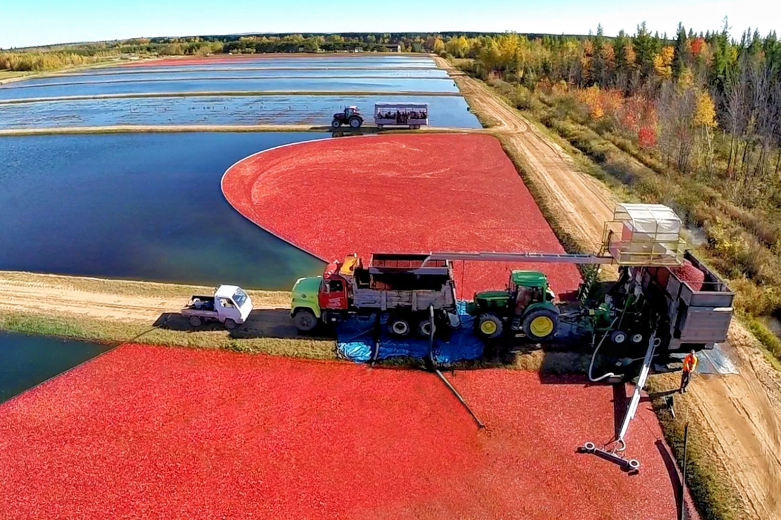 "La place à être à l'automne, c'est dans la MRC d'Arthabaska" - La ...