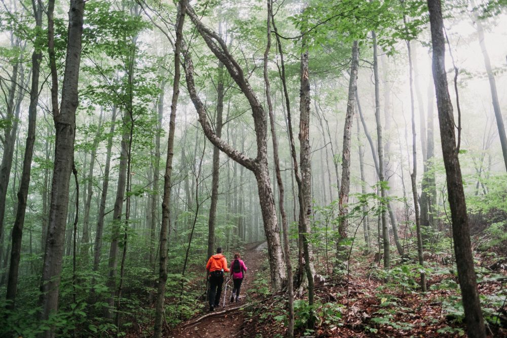 Le mont Arthabaska, un lieu à découvrir ou à redécouvrir - La Nouvelle ...