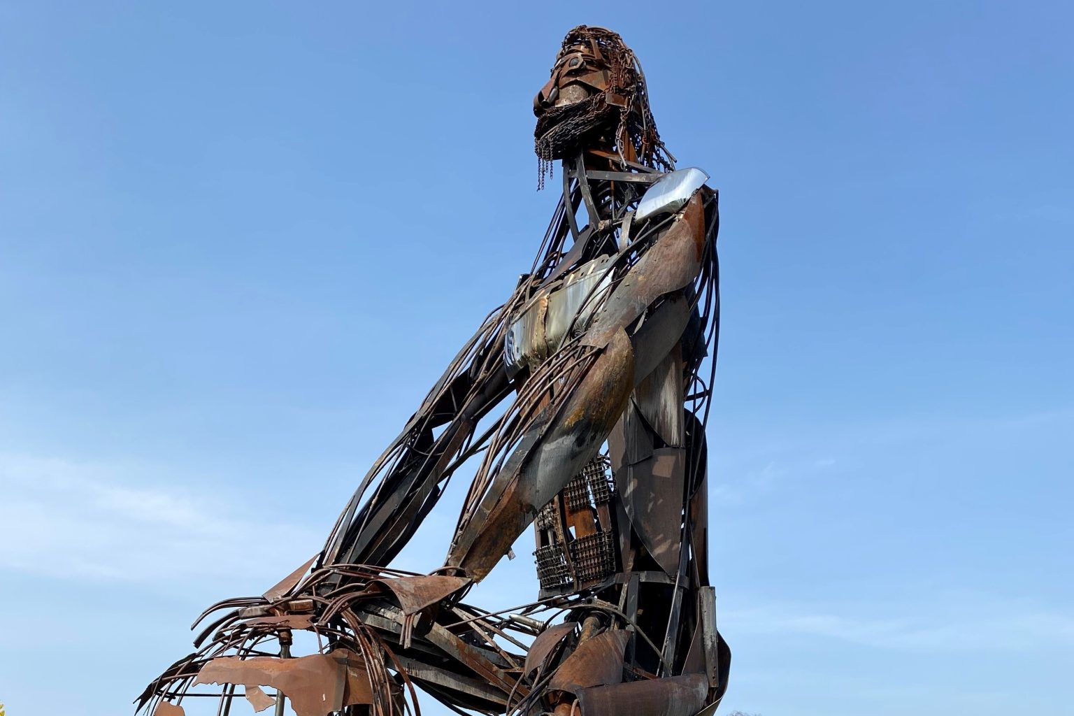 Indra Singh : l'artiste toujours en création - La Nouvelle Union et L’Avenir de l’Érable