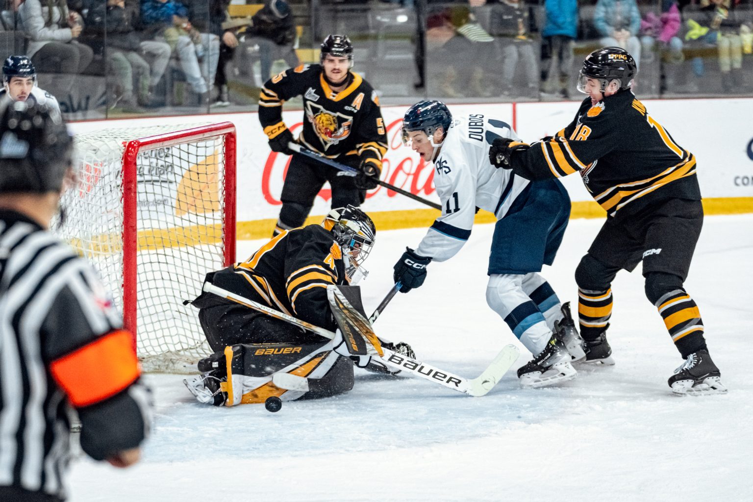 Carl Mallette très fier de l'attitude de ses joueurs - La Nouvelle ...