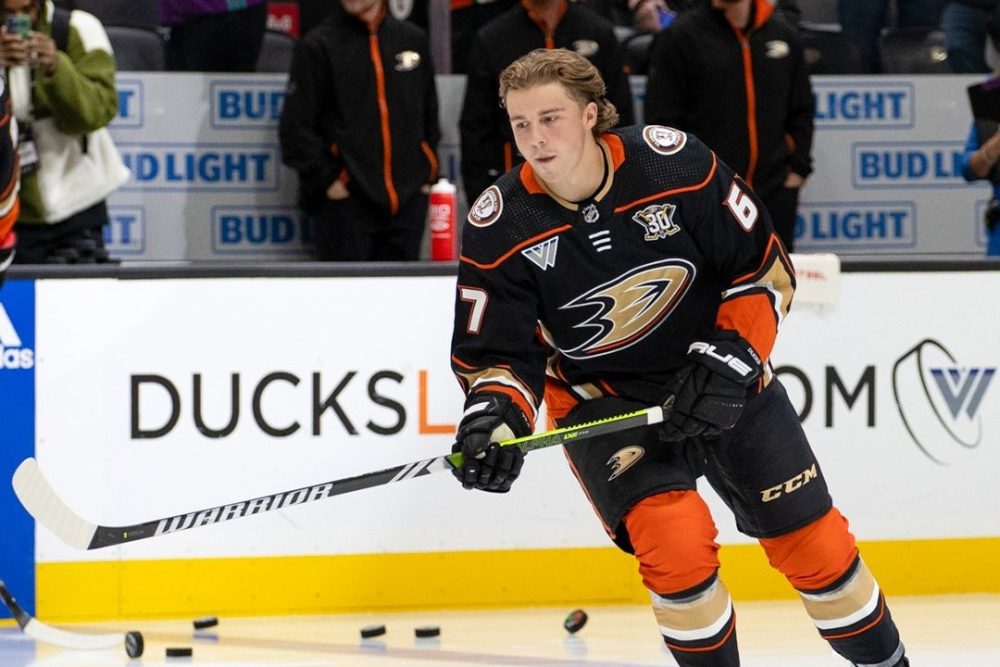 Tristan Luneau et les Ducks accueillent le CH - La Nouvelle Union et L ...