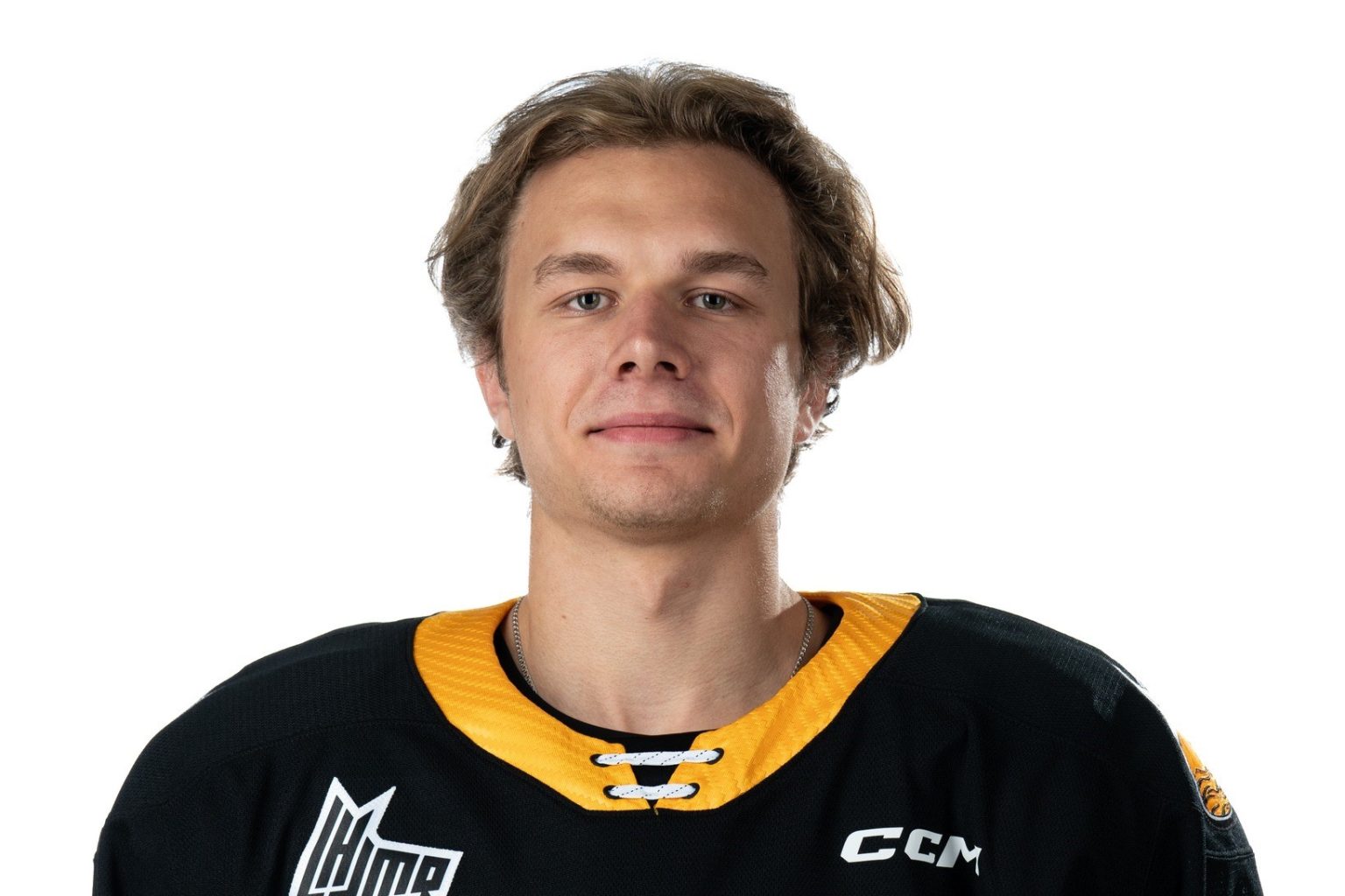 Les Tigres dominent, mais s'inclinent à Saint John - La Nouvelle Union ...