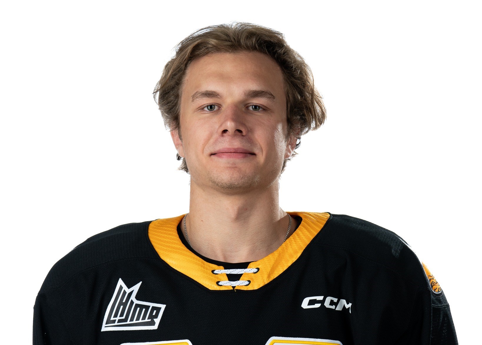 Les Tigres dominent, mais s'inclinent à Saint John - La Nouvelle Union ...