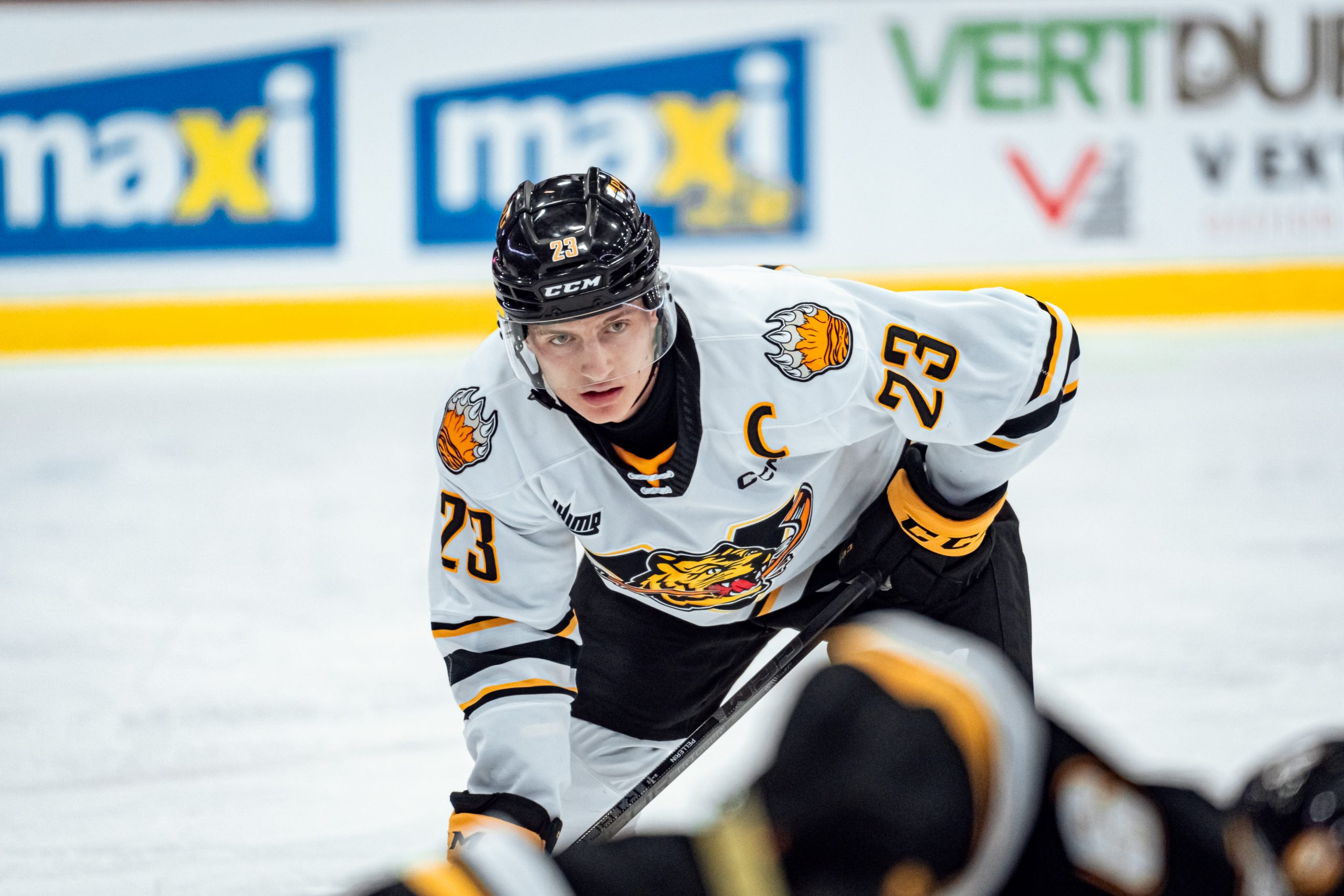 LHJMQ : deux Tigres au sein de l'Équipe de la semaine - La Nouvelle ...