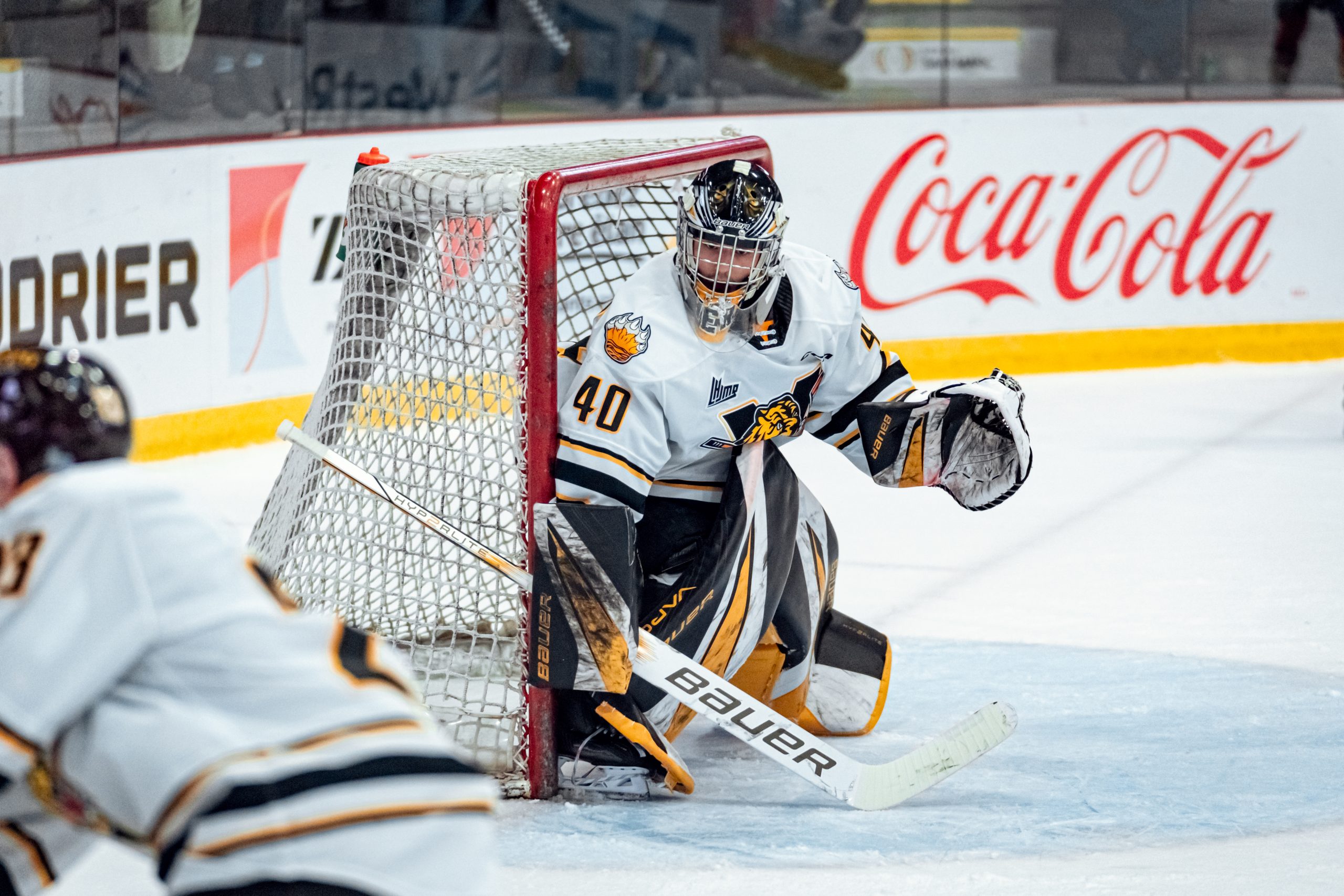 Les Huskies sont en ville - La Nouvelle Union et L’Avenir de l’Érable