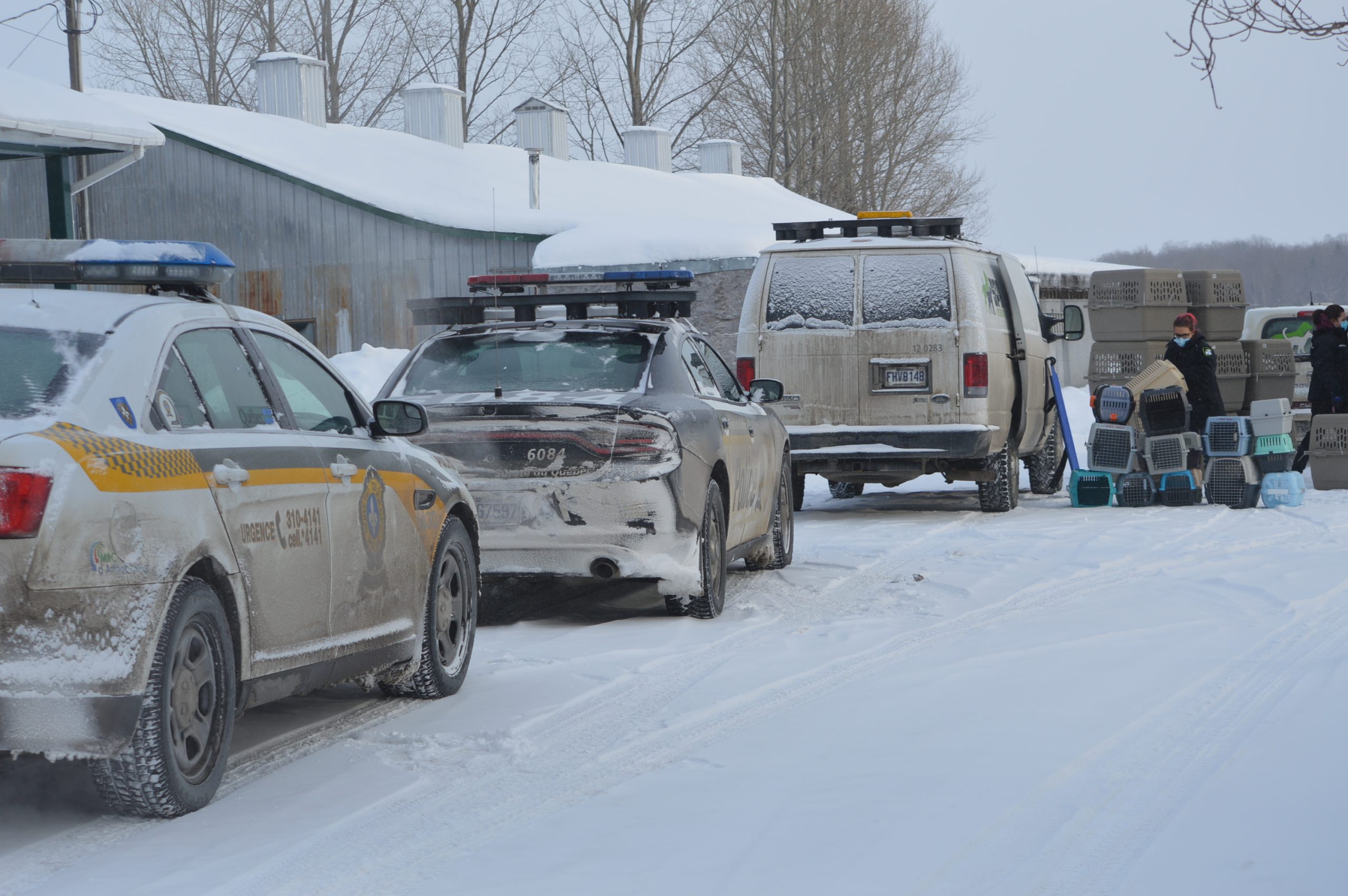 Cruauté animale : arrêt des procédures dans le dossier d'Élise Houle ...