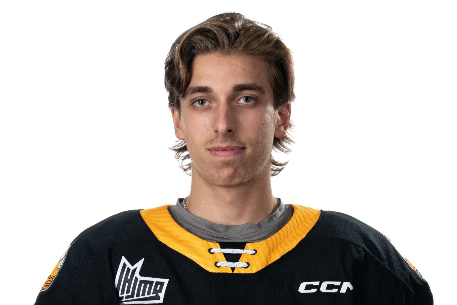 Des Tigres aux Lions - La Nouvelle Union et L’Avenir de l’Érable