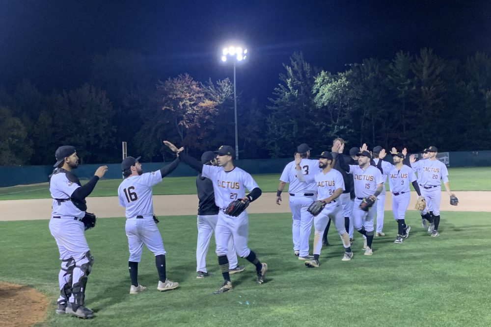 Ligue de baseball majeur du Québec : une finale qui promet - La ...